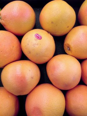 ‘Star Ruby’ Grapefruit – My Favourite Pastime