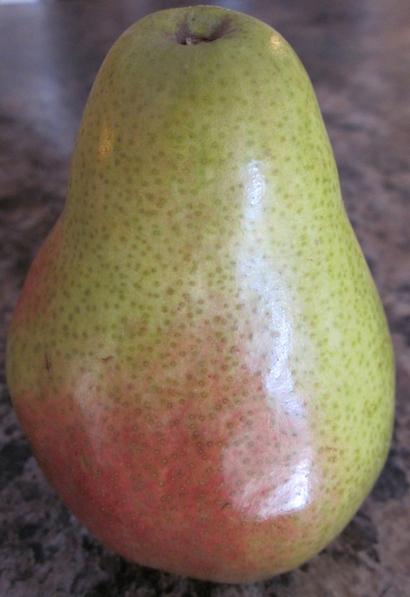 D’Anjou Pear – My Favourite Pastime