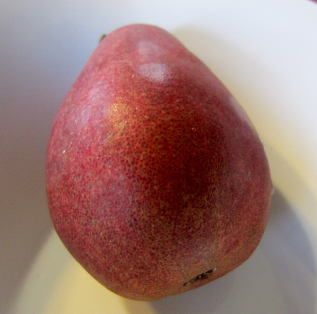 D’Anjou Pear – My Favourite Pastime