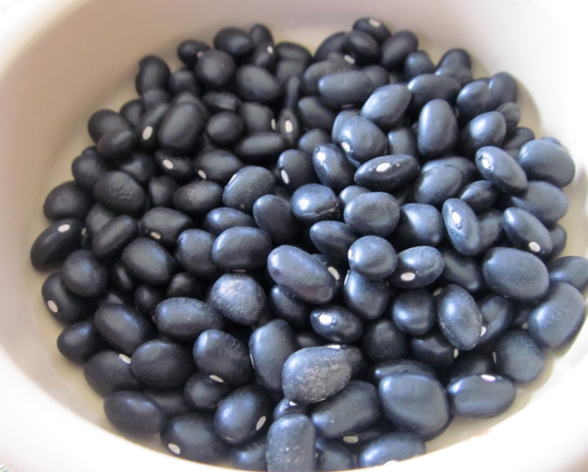 What is Black Bean? – My Favourite Pastime