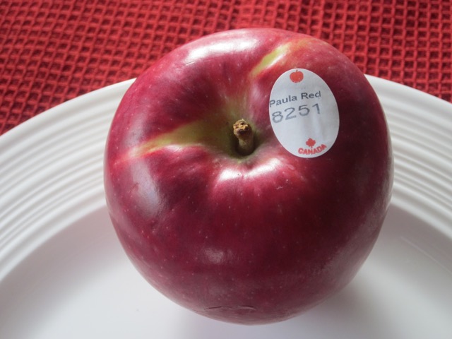 Paula Red Apple – My Favourite Pastime