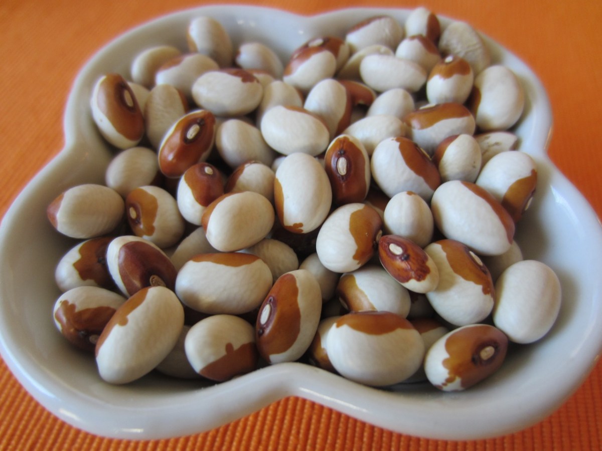 What is Yellow Eye Bean? – My Favourite Pastime