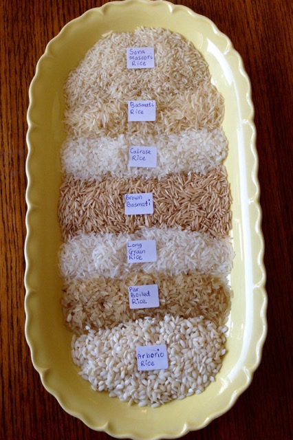 The Asian Rice, Oryza sativa L. – My Favourite Pastime