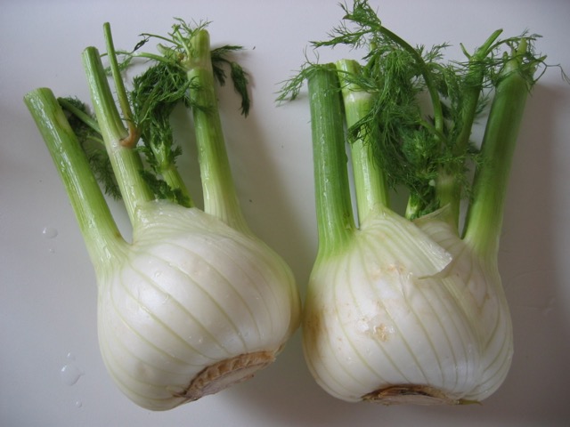 Fennel Bulb – My Favourite Pastime