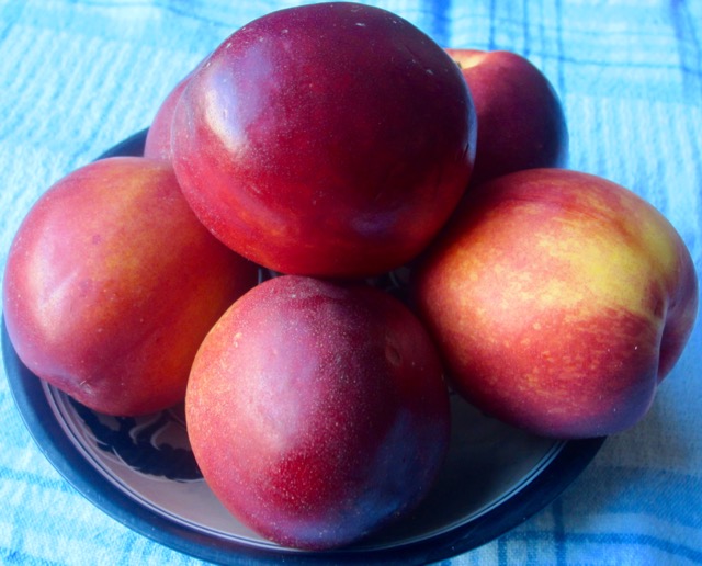 All you wanted to Know about Nectarine – My Favourite Pastime