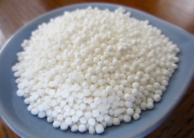 What is Tapioca? – My Favourite Pastime