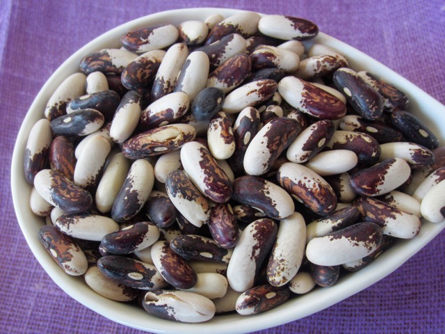 What is Appaloosa Bean? – My Favourite Pastime