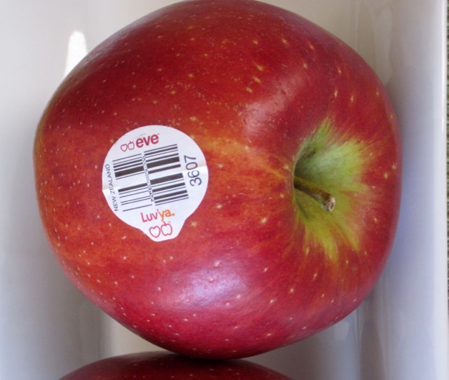 Eve Apple – My Favourite Pastime