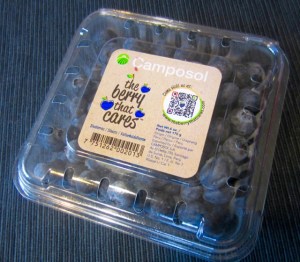 What is a Punnet? – My Favourite Pastime