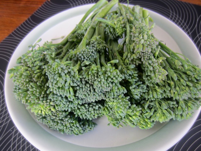 What is Broccolini? – My Favourite Pastime