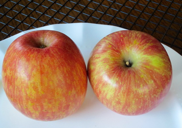 What is Fuji Apple? – My Favourite Pastime