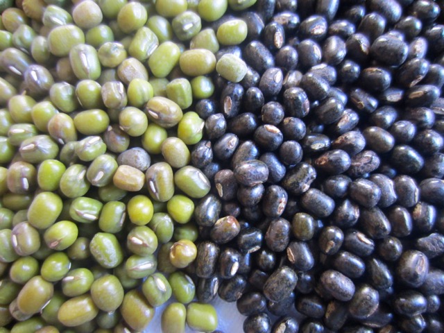 What is Urad Dal (Black Gram)? – My Favourite Pastime