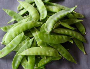 What is Snow Pea? – My Favourite Pastime