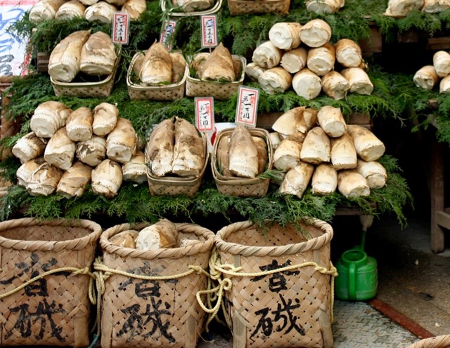 What is a Bamboo Shoot? – My Favourite Pastime