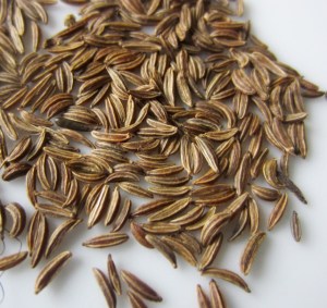 What is Caraway Seed? – My Favourite Pastime