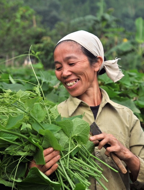 What is Chayote Squash? – My Favourite Pastime