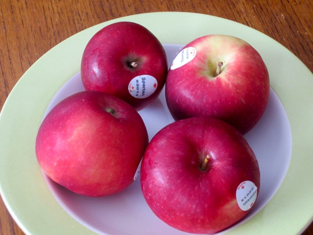 Spartan Apple – My Favourite Pastime