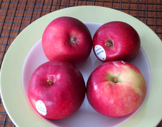 Spartan Apple – My Favourite Pastime