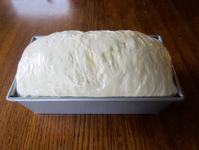 Classic White Bread Recipe – My Favourite Pastime