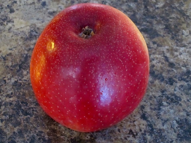 What is SweeTango Apple? – My Favourite Pastime
