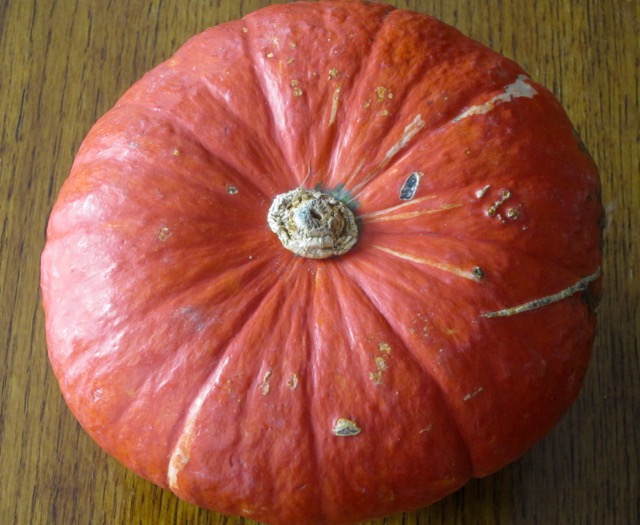 What is Turban Squash? – My Favourite Pastime