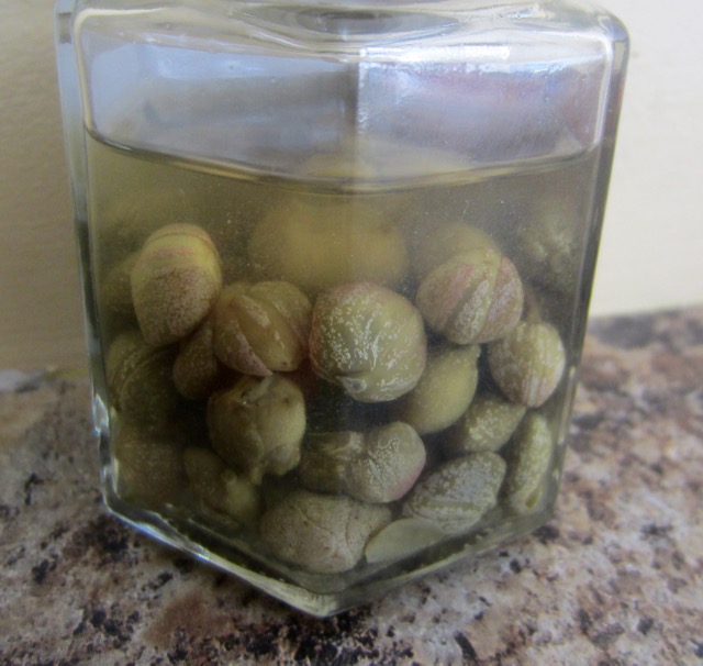 What is Caper? – My Favourite Pastime