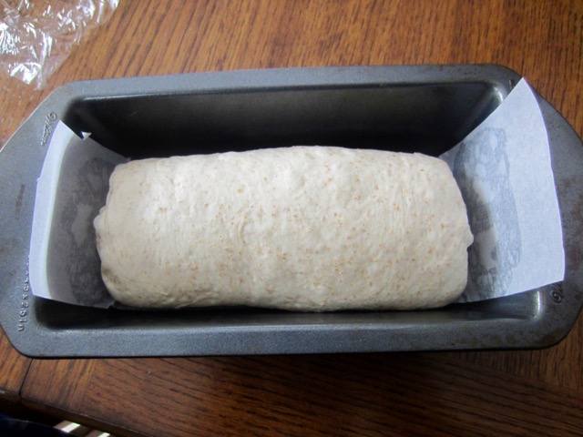 Easy Half Whole Wheat Bread – My Favourite Pastime